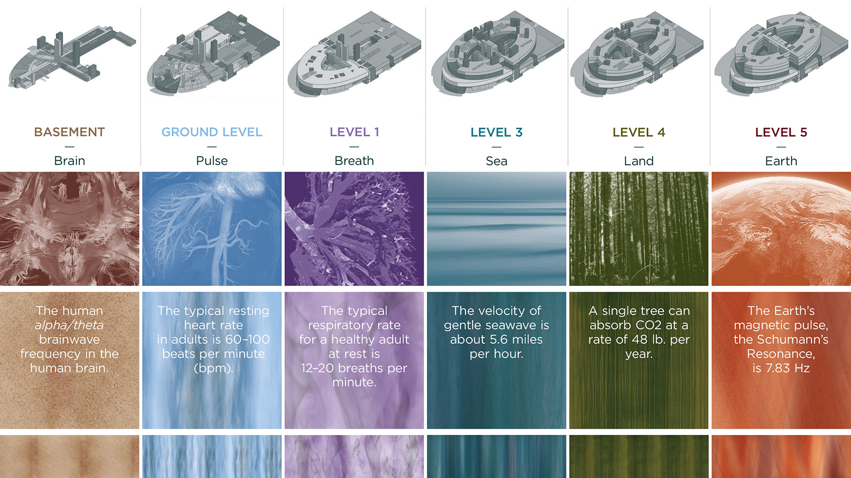 Thomas Matthews – Royal Papworth Hospital
